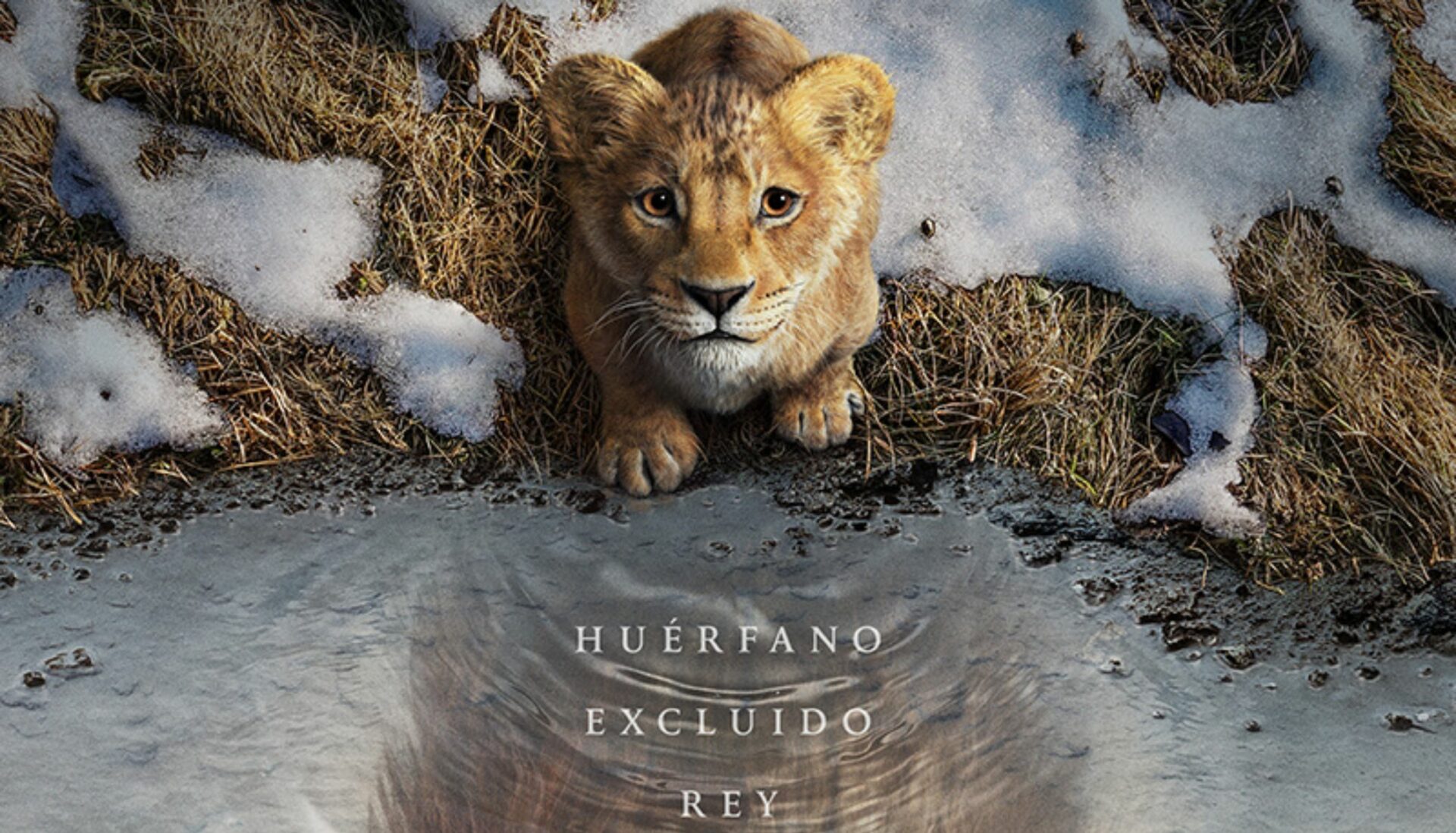 CARTELERA | 'Mufasa: El Rey León' se corona rey de la cartelera semanal ...